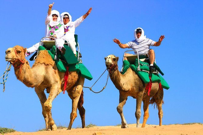 Cabo Camel and Safari Ride - Who Will Love This Tour?