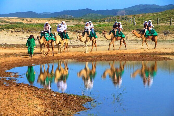 Cabo Camel and Safari Ride - Final Thoughts: Is This Tour Right for You?