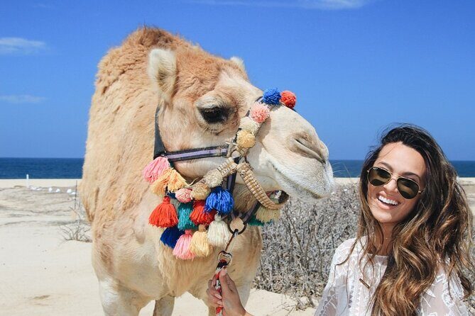 Cabo Camel Ride: Beach Safari, Tequila Tasting & Buffet - Exploring the Cabo Camel Ride: Beach Safari, Tequila Tasting & Buffet