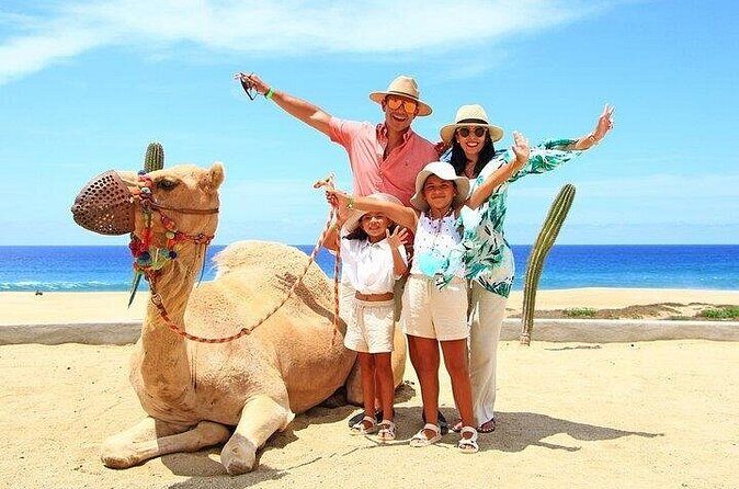 Cabo Camel Ride: Beach Safari, Tequila Tasting & Buffet - The Sum Up: Is This Tour Right for You?