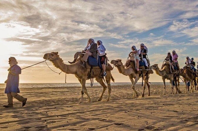 Cabo Camel Ride: Beach Safari, Tequila Tasting & Buffet - FAQ – Practical Questions About the Cabo Camel Ride Tour