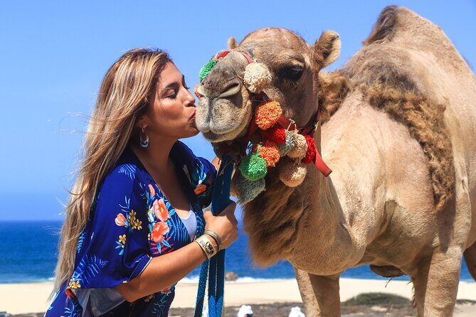 Cabo Camel Ride Experience - An Honest Look at the Cabo Camel Ride Experience