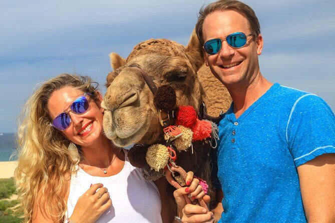 Cabo Camel Ride Experience - The Sum Up