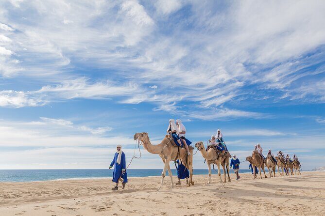 Cabo Camel Ride, Mexican Buffet and Tequila Tasting - A Deep Dive Into the Tour Experience