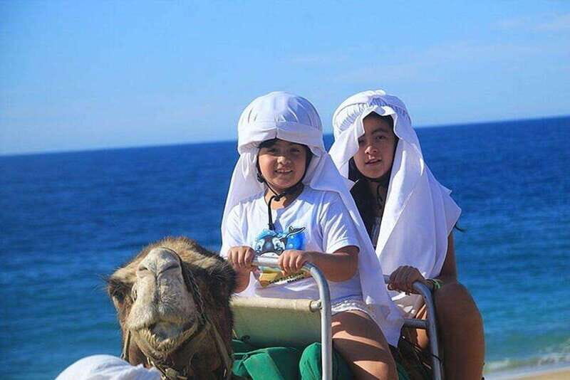 Cabo: Camel Ride On The Beach - An Overview of the Experience