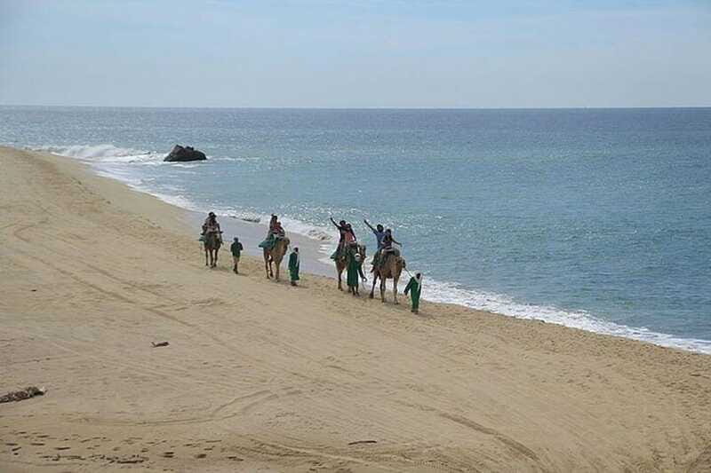 Cabo: Camel Ride On The Beach - Who Should Consider This Tour?
