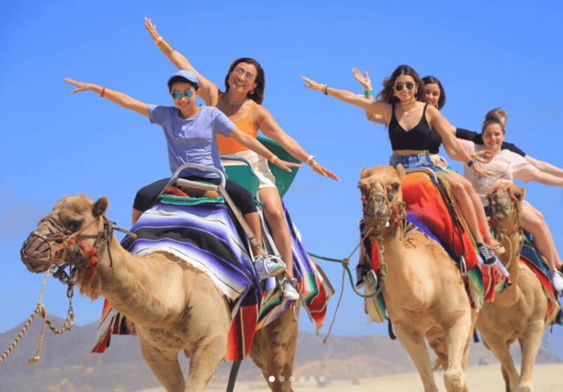 Cabo: Camel Safari Adventure with Tacos - Who Will Enjoy This Tour?
