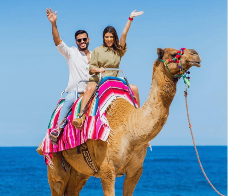 Cabo: Camel Safari Adventure with Tacos - FAQ (Frequently Asked Questions)