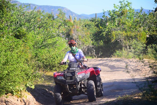 Cabo Candelaria Village Adventure + Tequila Tasting - The Sum Up: Who Should Consider This Tour?
