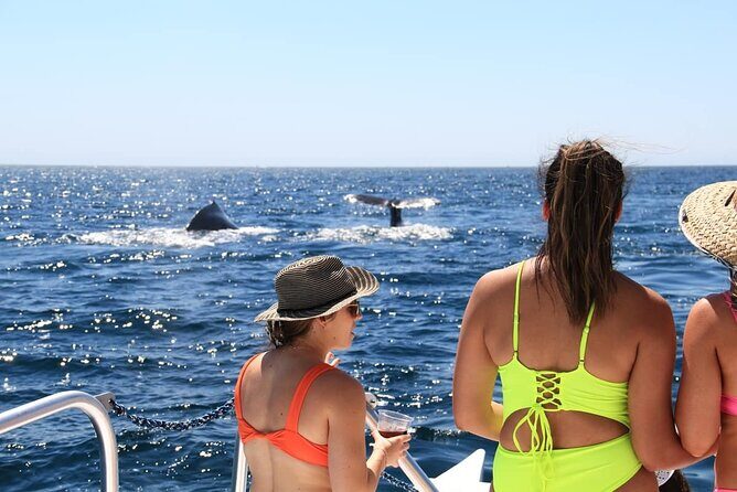Cabo Catamaran  Snorkeling Tour & Coastal Views - Who Will Love This Tour?