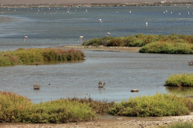 Cabo De Gata Natural Park From Roquetas, Aguadulce & Almeria - Pickup Arrangements