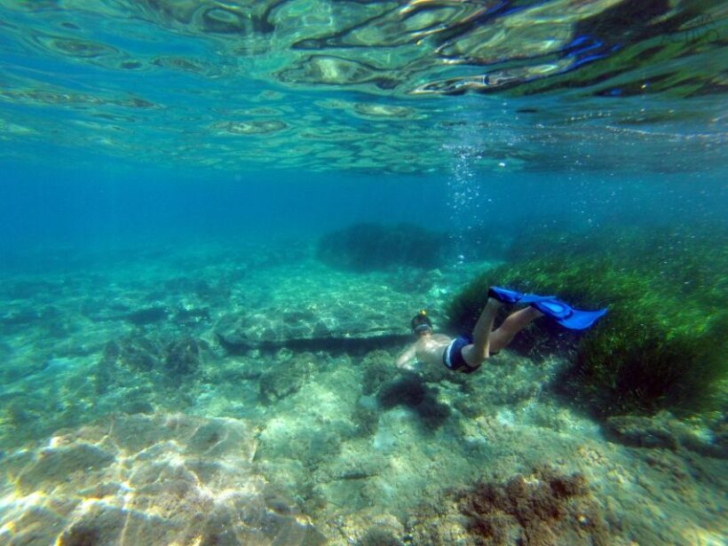 Cabo de Gata: Natural Park Kayaking and Snorkel Excursion - The Value of the Experience