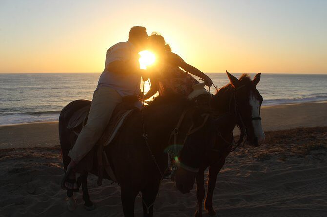 Cabo Desert Off-Road & Beach Horseback Combo and Tequila Tasting - Final Thoughts