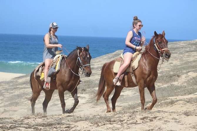 Cabo Desert Off-Road & Beach Horseback Combo and Tequila Tasting - FAQ
