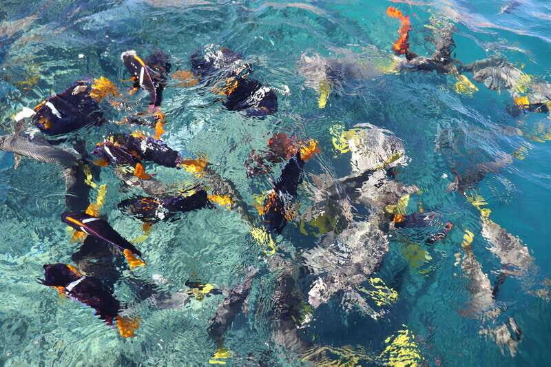 Cabo Encounter with Optional Clear Boat and Lunch - FAQ