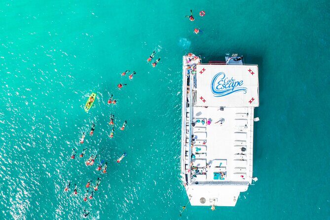 Cabo Escape Snorkel Fun Cruise - An In-Depth Look at the Tour