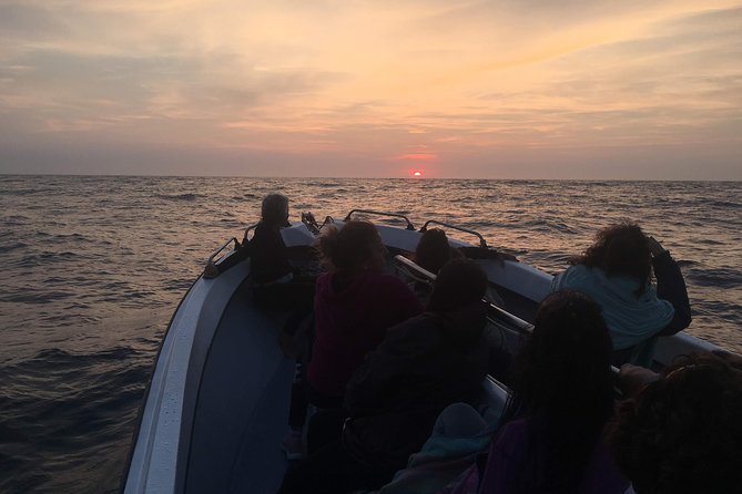 Cabo Espichel Sunset Tour - Reviews and Feedback