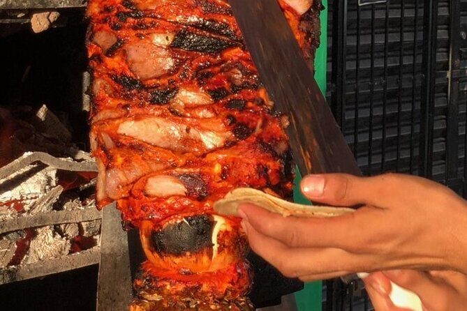 Cabo Food Tasting Experience with ARCH Boat Tour INCLUDED - Final Thoughts