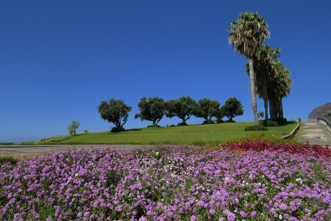 Cabo Girão Sea Cliff and Mountains 4WD Experience - What’s Included and What to Expect