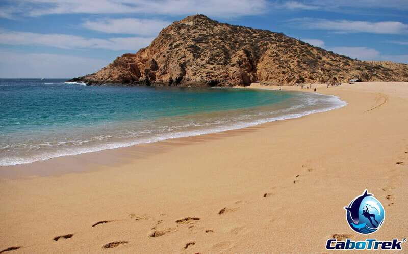 Cabo Ocean SAFARI - Final Thoughts
