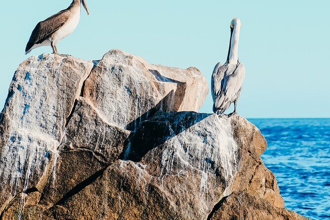 Cabo Private Catamaran, Chill Experience with Sup and float mat - Who Is This Tour Best For?