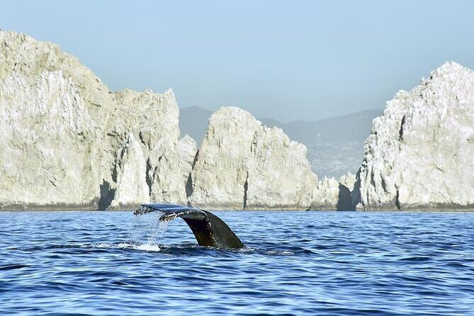 Cabo Private Transportation to Cabo - Who Should Book This Service