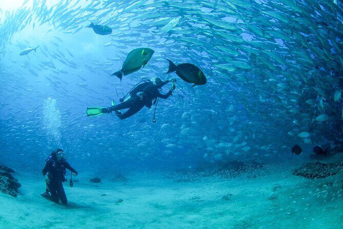 Cabo Pulmo 2 Tank Certified Dive with Lunch - Key Points