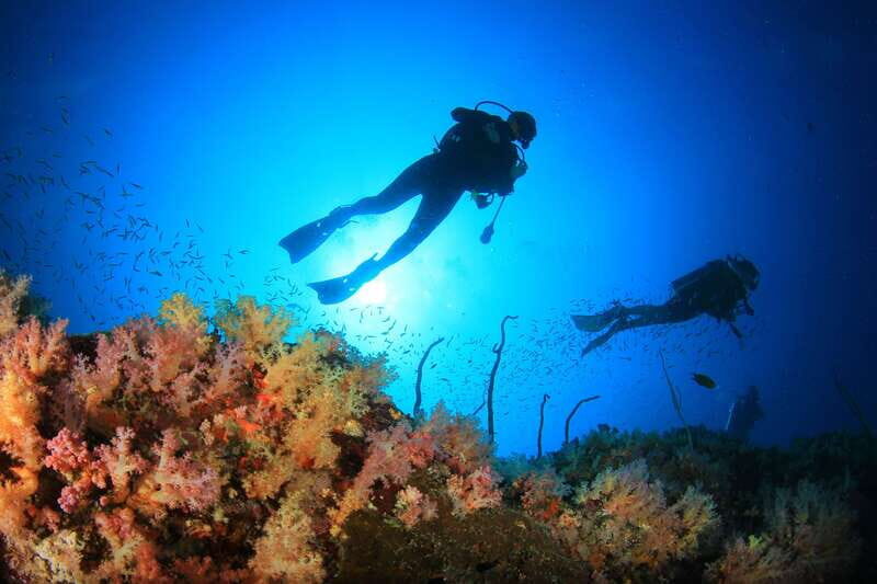 Cabo Pulmo Marine Park: Scuba Diving Excursion - The Tour Experience: What You Can Expect