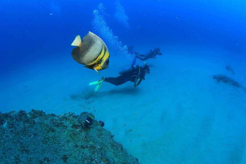 Cabo Pulmo Marine Park: Scuba Diving Excursion - Final Thoughts