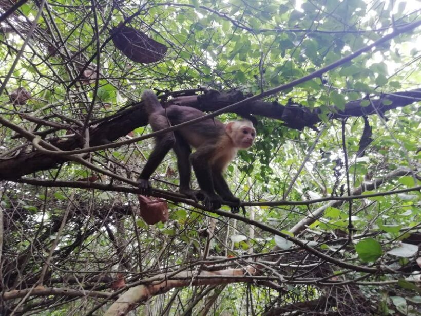 Cabo San Juan Day Tour - Cabo San Juan: The Crown Jewel