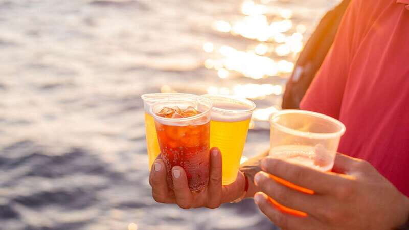 Cabo San Lucas: 2 Hour Sunset Cruise with Food and Wine - The Food and Drinks: A Closer Look