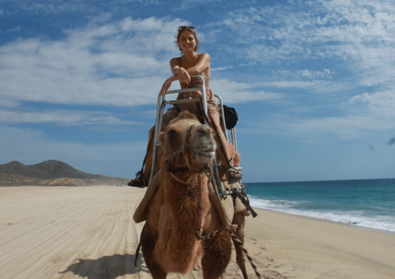 Cabo San Lucas: Amazing Camel Adventure on the Beach - A Detailed Look at the Cabo Camel Adventure