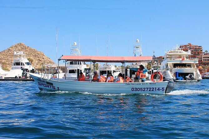 Cabo San Lucas Arc Group Tour in Glass Bottom Boat - The Cost and Value