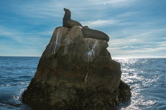Cabo San Lucas Arch & City Tour: Glass-Bottom Boat & Tequila - FAQ