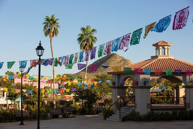 Cabo San Lucas Arch Cruise and Shopping Tour - Authentic Insights from Reviewers