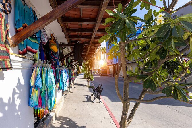 Cabo San Lucas Arch Cruise and Shopping Tour - FAQ