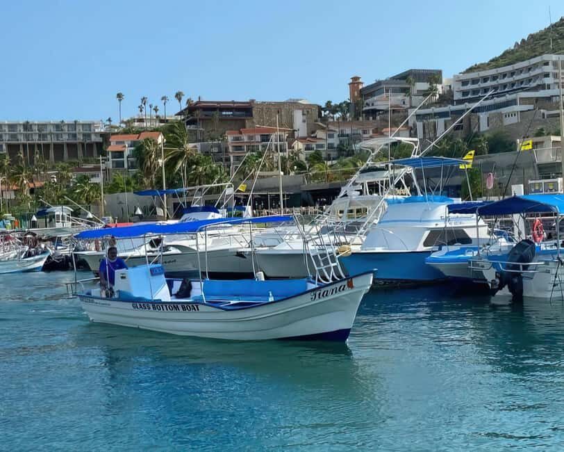 Cabo San Lucas: Arch Tour Glass Bottom Boat - Exploring the Experience in Detail