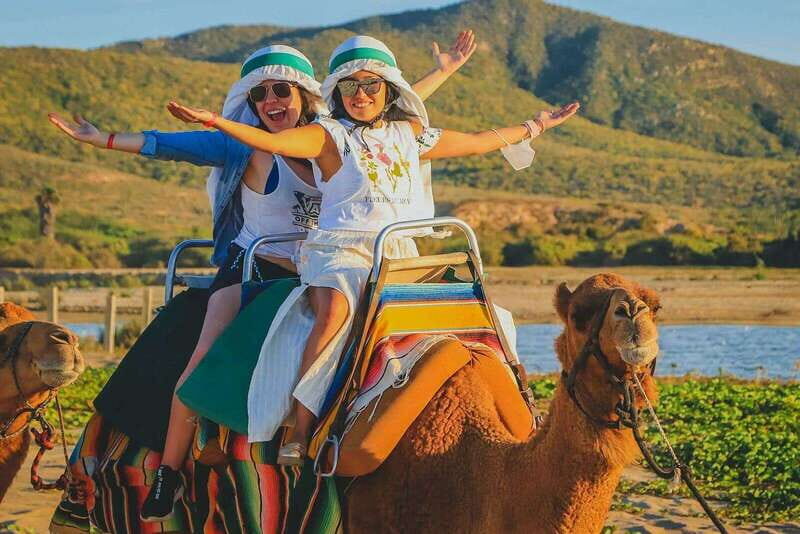Cabo San Lucas: ATV/Camel/Horse Combo Tour - Key Points