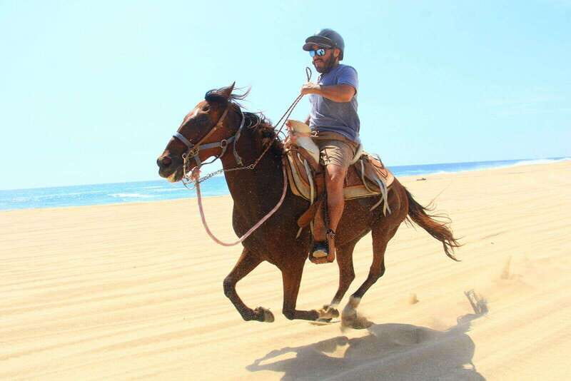 Cabo San Lucas: ATV/Camel/Horse Combo Tour - An Introduction to the Cabo San Lucas Combo Tour
