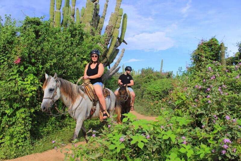 Cabo San Lucas: Beach & Desert Horseback Riding Tour - Authenticity and Value