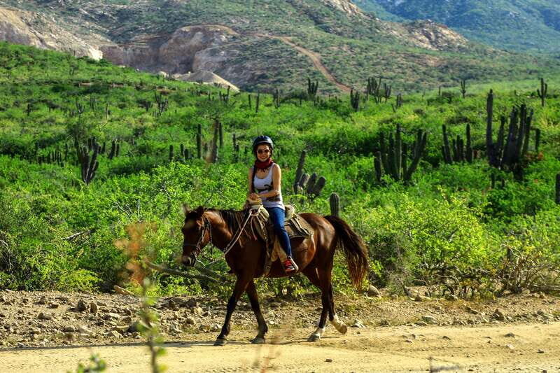 Cabo San Lucas: Beach & Desert Horseback Riding Tour - Final Thoughts