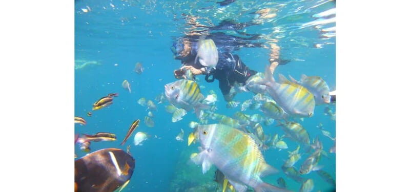 Cabo San Lucas: Beach Hopper Small-Group Snorkeling Tour - The Snorkeling Stops: Exploring the Underwater World