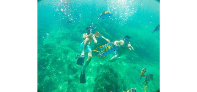 Cabo San Lucas: Beach Hopper Small-Group Snorkeling Tour - The Speedboat Ride and Additional Sights
