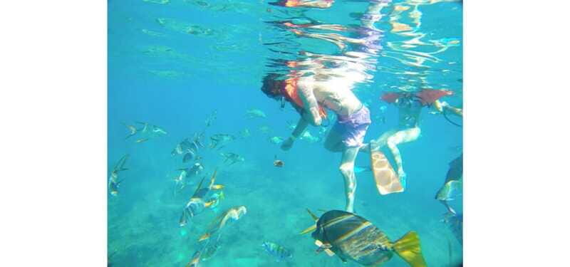 Cabo San Lucas: Beach Hopper Small-Group Snorkeling Tour - The Practical Side: Booking and Accessibility
