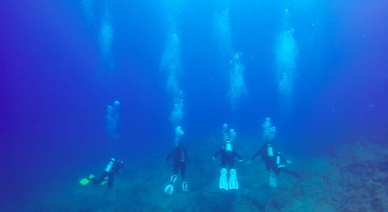 Cabo San Lucas: Beginners Diving Experience w/ Water & Snack - Why is this Tour a Great Choice?