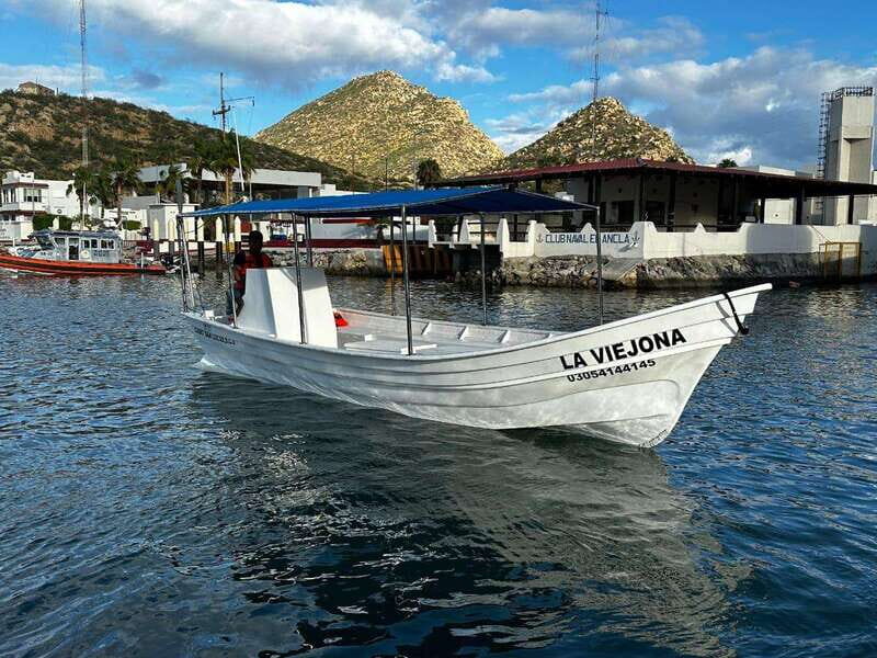 Cabo San Lucas: boat tour around the peninsula and stay at the beach - Authentic Experience and Value
