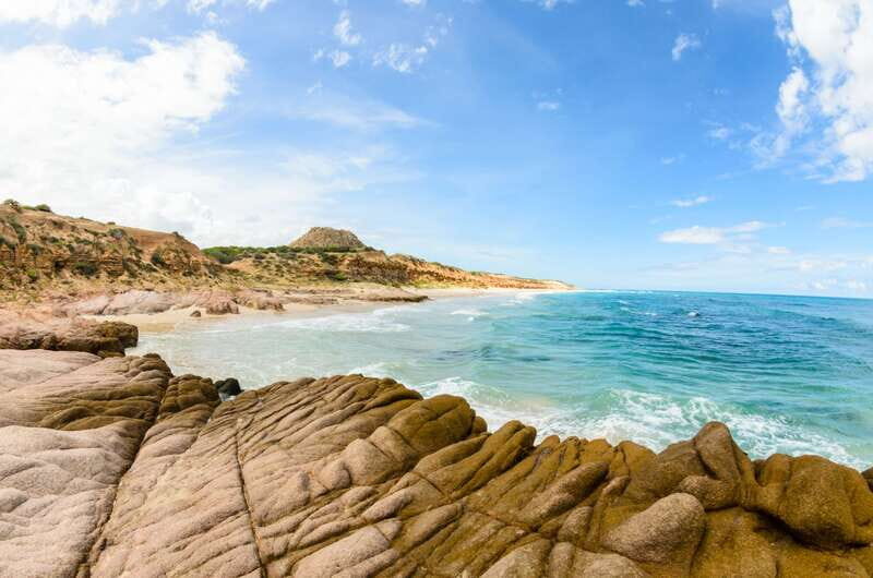 Cabo San Lucas: Cabo Pulmo Snorkeling Expedition - What to Expect from the Cabo Pulmo Snorkeling Tour
