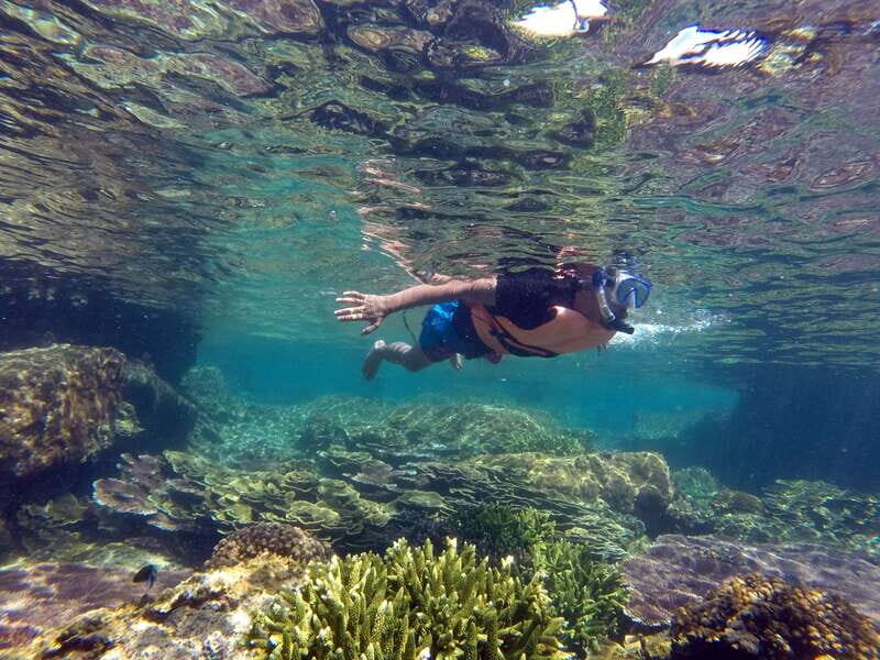 Cabo San Lucas: Cabo Pulmo Snorkeling Expedition - The Practical Side: What’s Included, Price, and Tips
