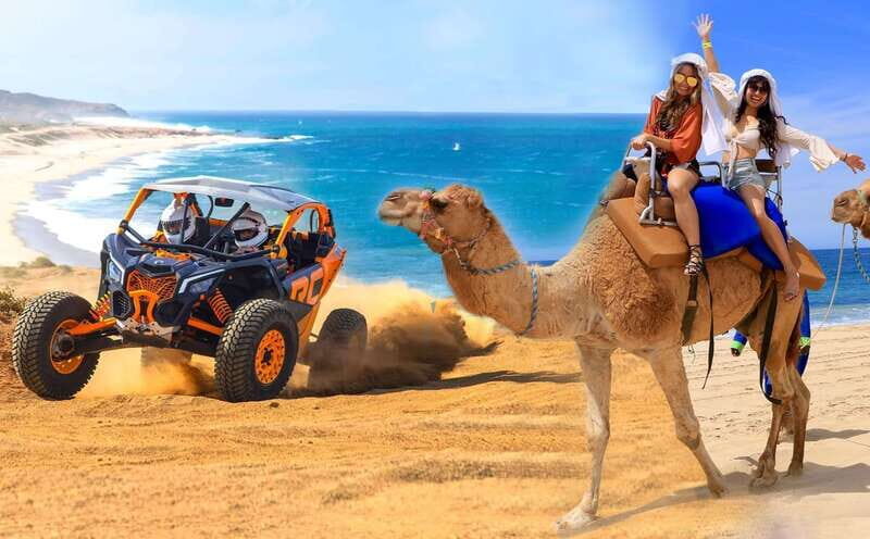 Cabo San Lucas: Camel Ride & Off-Road UTV Combo Adventure - Practical Tips for Travelers