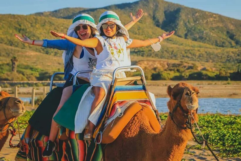 Cabo San Lucas: Camel Ride on the Beach - The Itinerary: What You Can Expect
